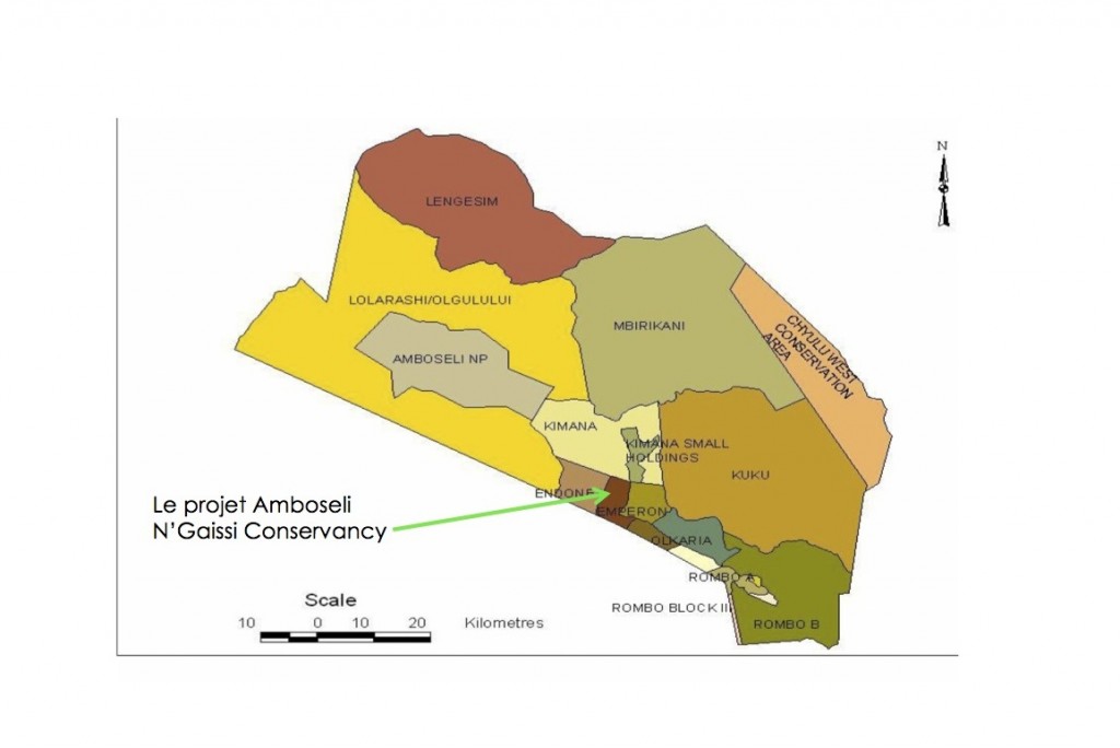 Interactions and Solidarity Préservation de la biodiversité et ...